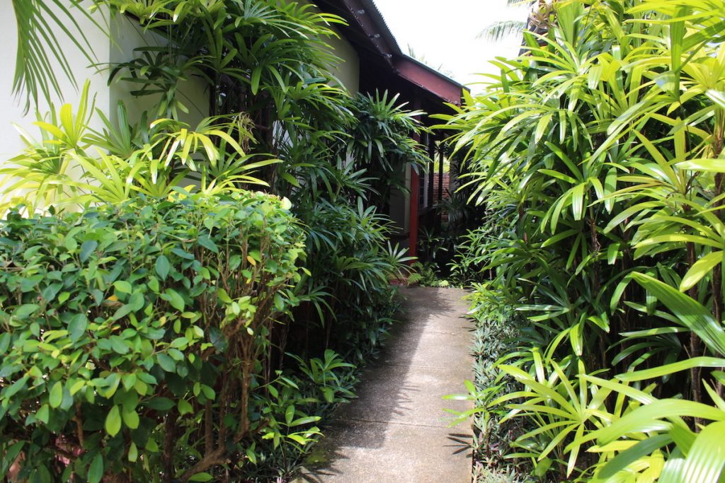 Gallery | Angullia Resort