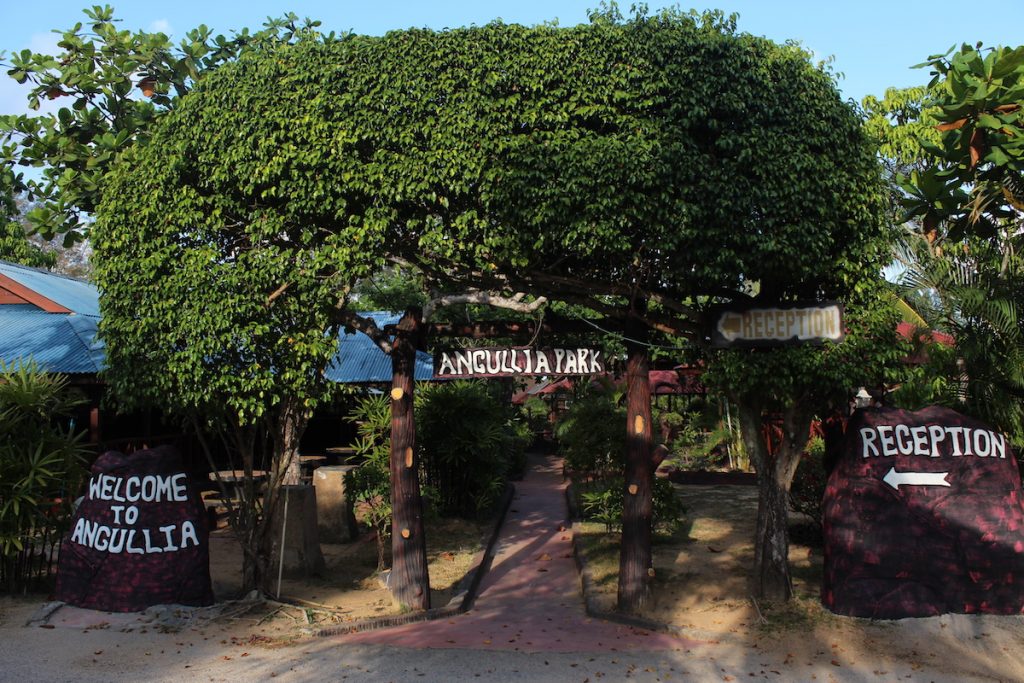 gallery-angullia-resort